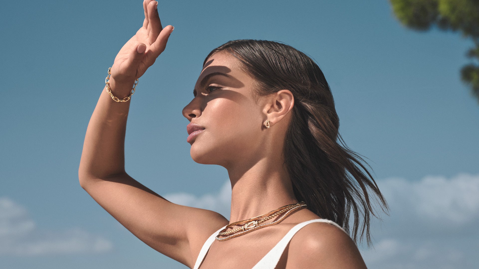 FRED – SEIBU The Exchange TRX